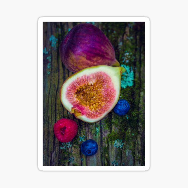"figs and berries" Sticker by alanshapiro | Redbubble