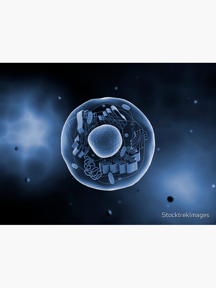 "Microscopic view of animal cell." Sticker by StocktrekImages | Redbubble