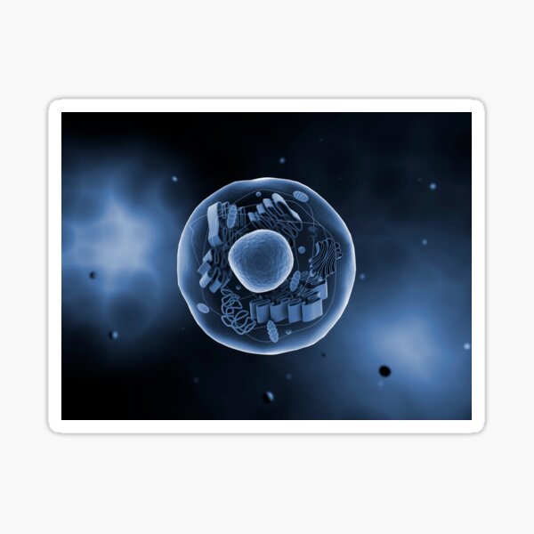 "Microscopic view of animal cell." Sticker by StocktrekImages | Redbubble