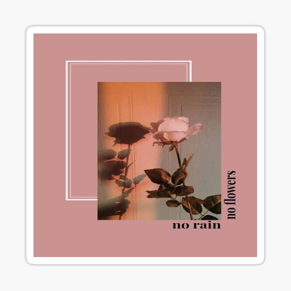 "Cute rose gold aesthetic design" Sticker by Soft-Maiot | Redbubble