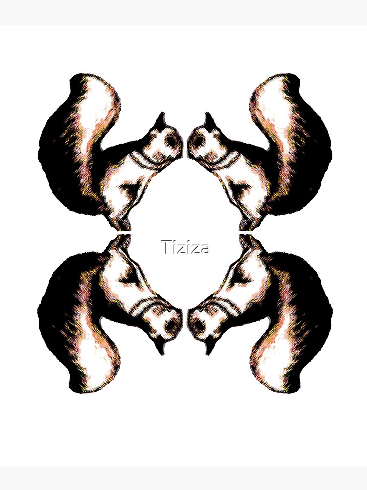 "fanny squirrel horse illusion, great optical illusion" Poster by ...