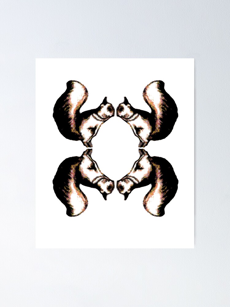 "fanny squirrel horse illusion, great optical illusion" Poster by ...