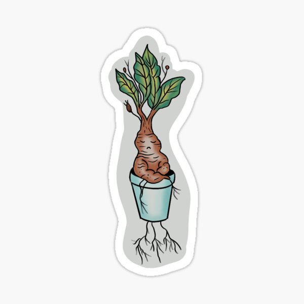 "Grumpy Mandrake " Sticker by Torieslaughter1 | Redbubble