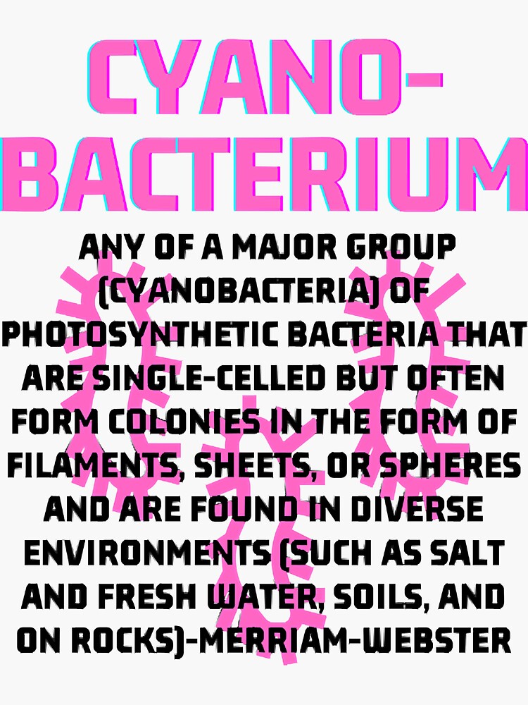 "CYANOBACTERIUM " Sticker by anhdao509 | Redbubble