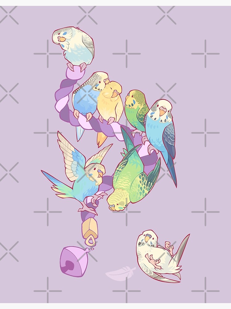 "Budgie bunch grape froyo flavored" Poster by Colordrilos | Redbubble