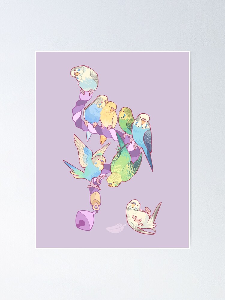 "Budgie bunch grape froyo flavored" Poster by Colordrilos | Redbubble