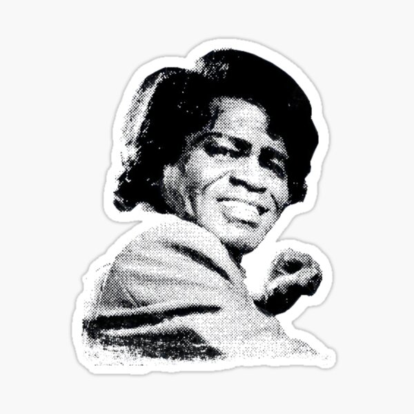 "James Brown FanArt Tribute Gift Fan" Sticker by JackieArmstrong ...