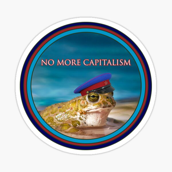 "No more capitalism" Sticker for Sale by nakedfrogs | Redbubble