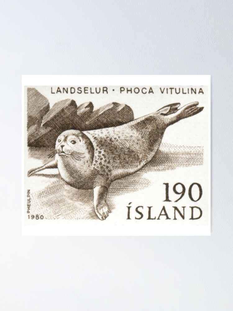 "Vintage 1980 Iceland arctic phoca seal animal explorer adventure ...