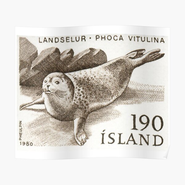 "Vintage 1980 Iceland arctic phoca seal animal explorer adventure ...