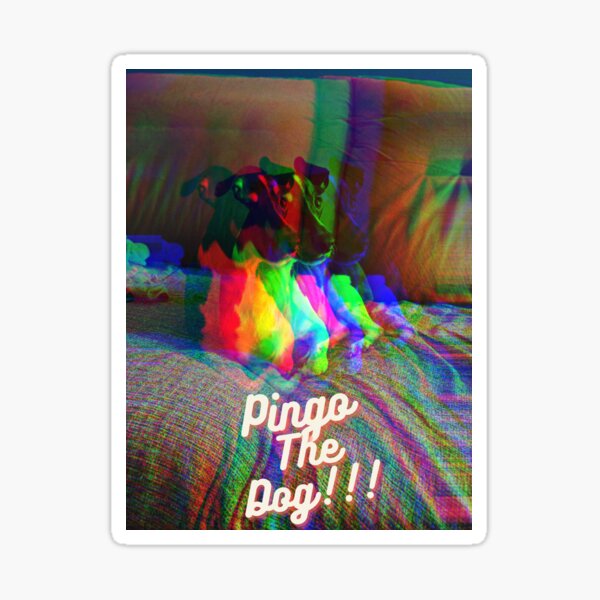 "Pingo The Dog!!!" Sticker by CristianSantos | Redbubble