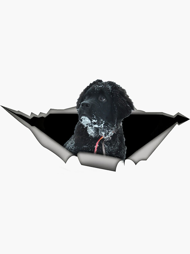 " NEWFOUNDLAND CAR DECAL" Sticker by monaim2022 | Redbubble
