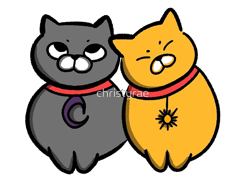 "sun & moon cats" by christyrae | Redbubble