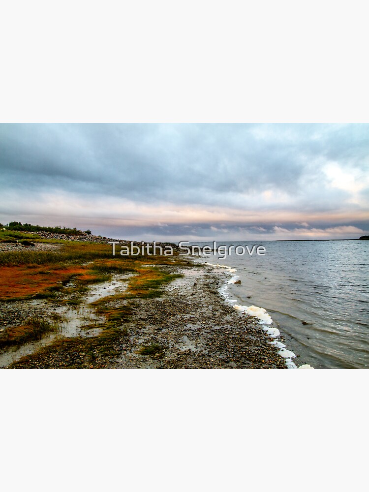 "boreal beach" Sticker by tabtabs | Redbubble