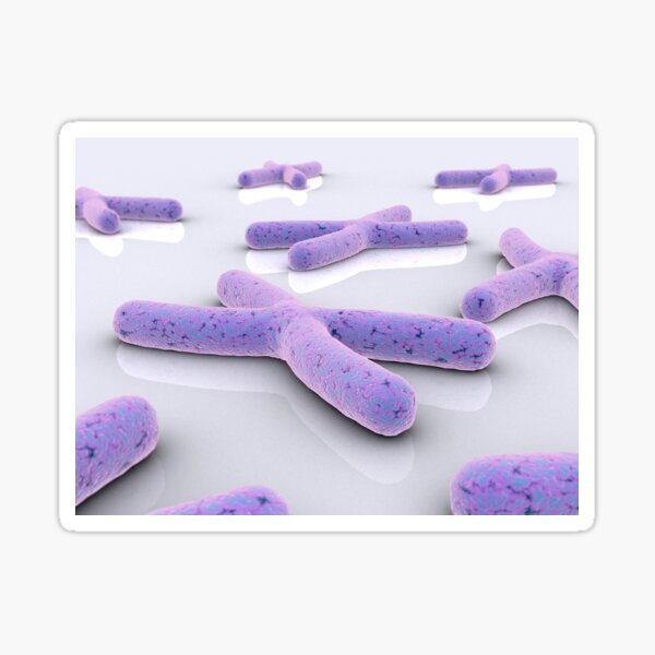 "Conceptual image of chromosome." Sticker for Sale by StocktrekImages ...