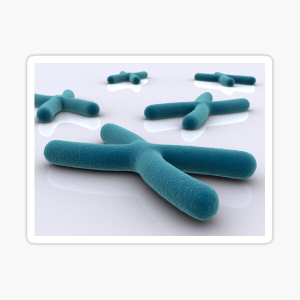 "Conceptual image of chromosome." Sticker for Sale by StocktrekImages ...