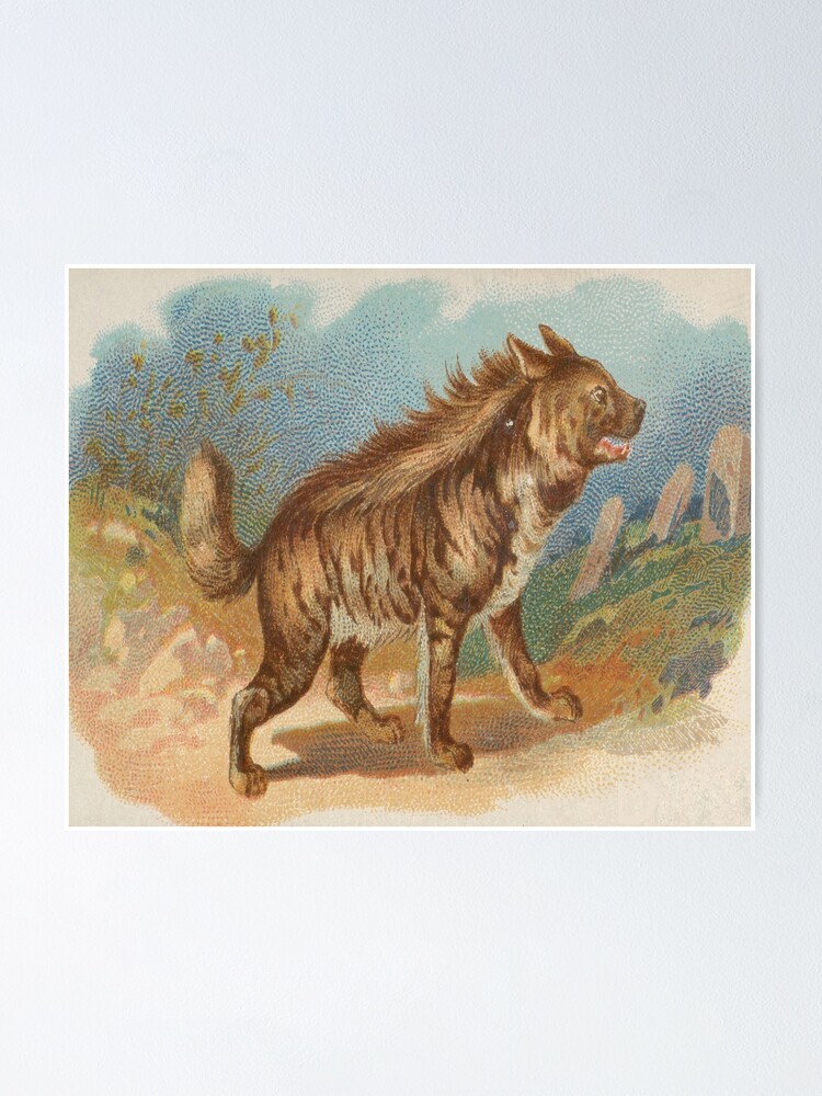 "Evil hyena is hunting in the forest" Poster for Sale by si3iy | Redbubble