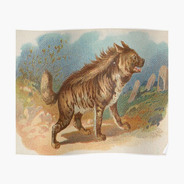"Evil hyena is hunting in the forest" Poster for Sale by si3iy | Redbubble