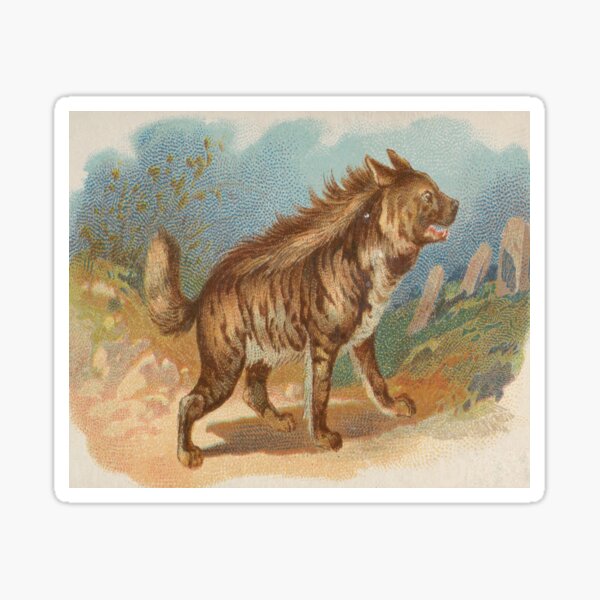 "Evil hyena is hunting in the forest" Sticker for Sale by si3iy | Redbubble