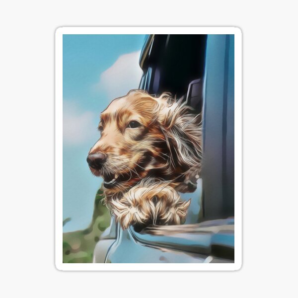 "Cocker Spaniel Riding In Car" Sticker by NiftyTees | Redbubble