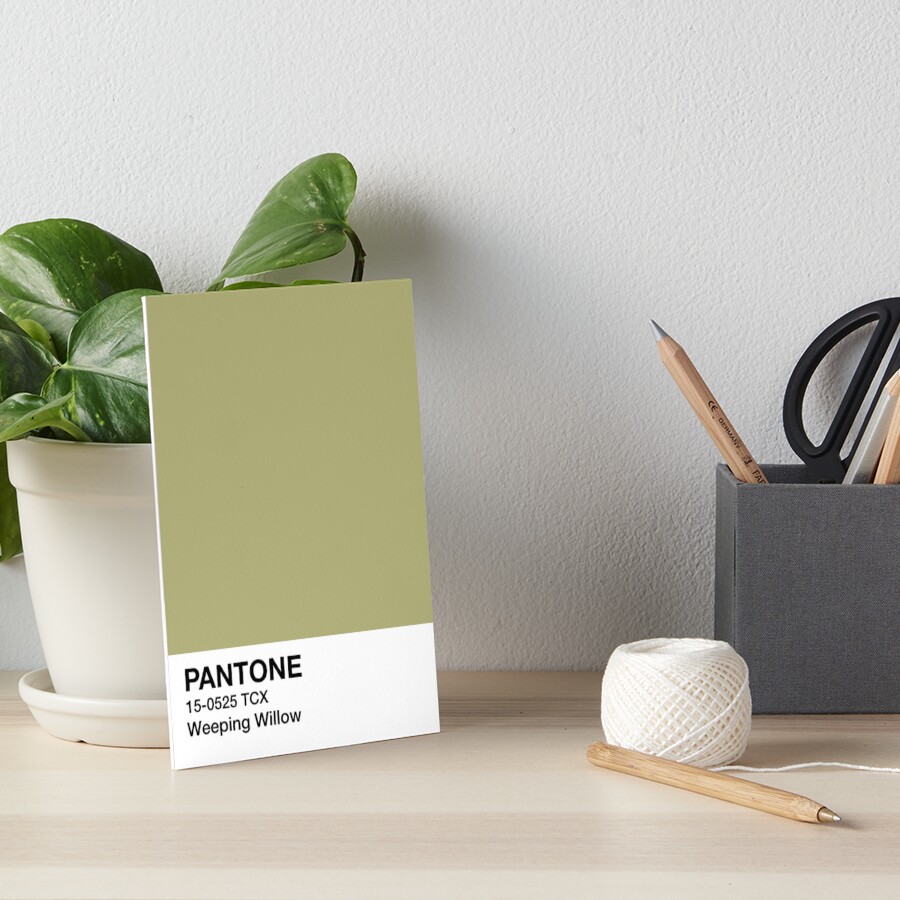 "PANTONE Weeping Willow - Green" Art Board Print by Mushroom-Gorge ...