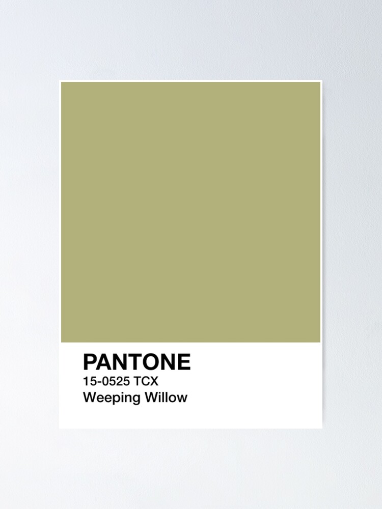 "PANTONE Weeping Willow - Green" Poster for Sale by Mushroom-Gorge ...