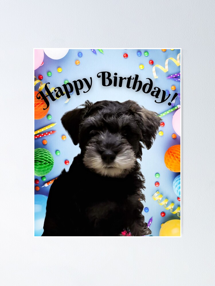 "Happy Birthday! Birthday Party Background Miniature Schnauzer Mocha ...
