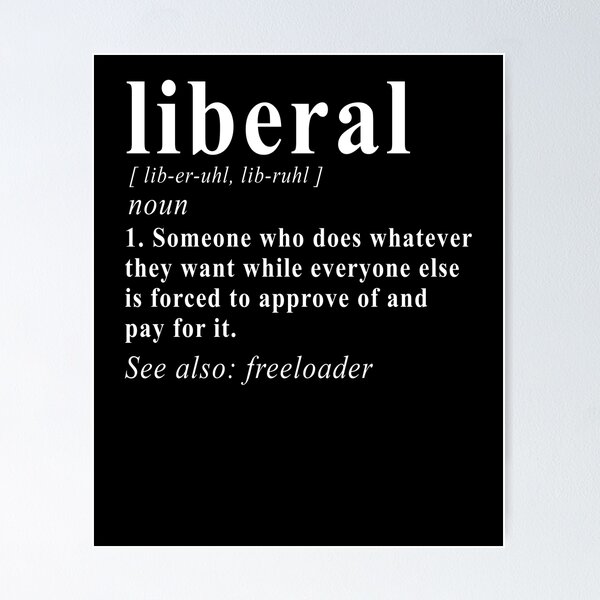 Anti Liberal Posters
