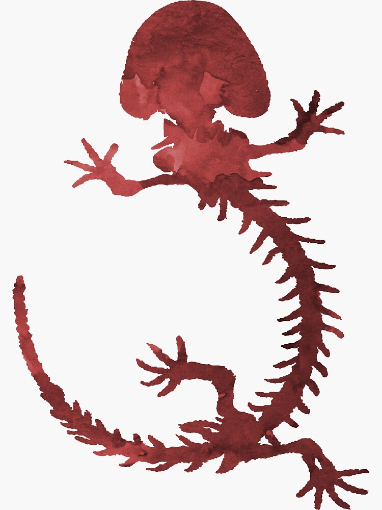 "Hellbender Skeleton" Sticker by BittenByErmines | Redbubble