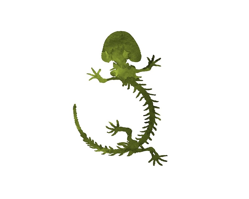 "Hellbender Skeleton" by BittenByErmines | Redbubble