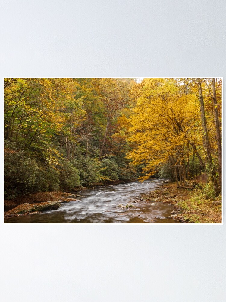 "Autumn Flow" Poster for Sale by -LGM- | Redbubble
