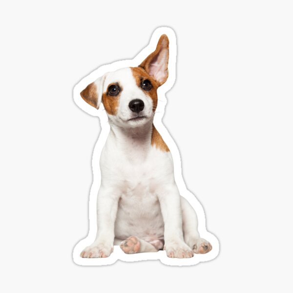 "Sitting dog" Sticker by Denvifashions | Redbubble