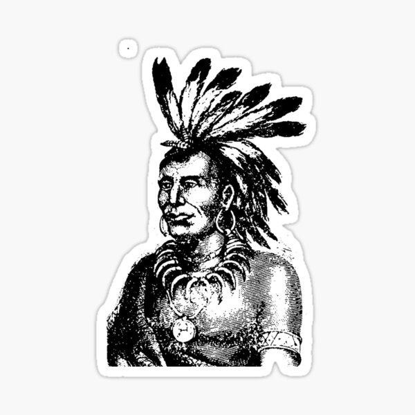 "Chief Little Turtle" Sticker by IMPACTEES | Redbubble
