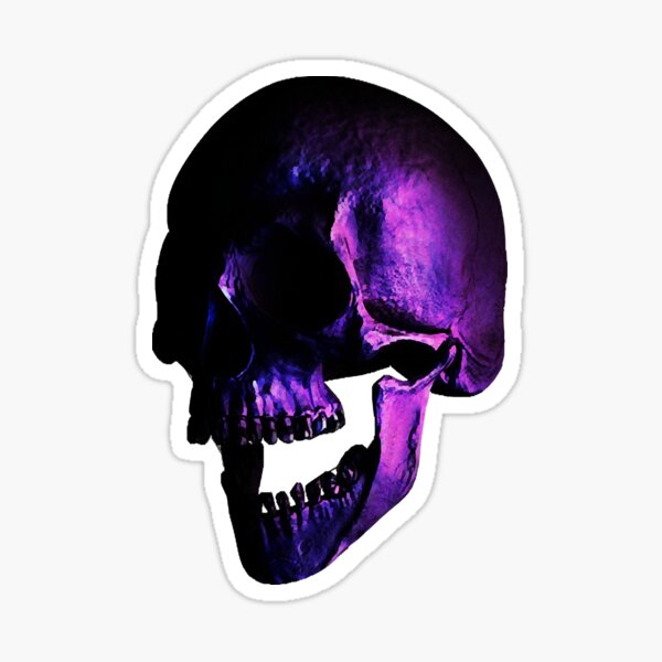 "Purple Skull " Sticker by g6469 | Redbubble