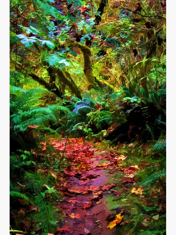 "Colors of the Damp Forest" Sticker for Sale by bonnie-follett | Redbubble
