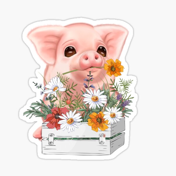 "Baby-Ferkel-Blumen in einer hölzernen weißen Gartenkiste ...