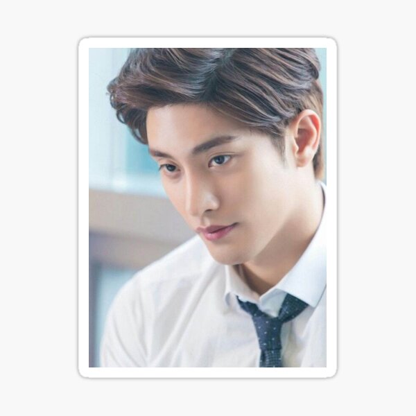 "Sung Hoon v4" Sticker by LanaShop123 | Redbubble