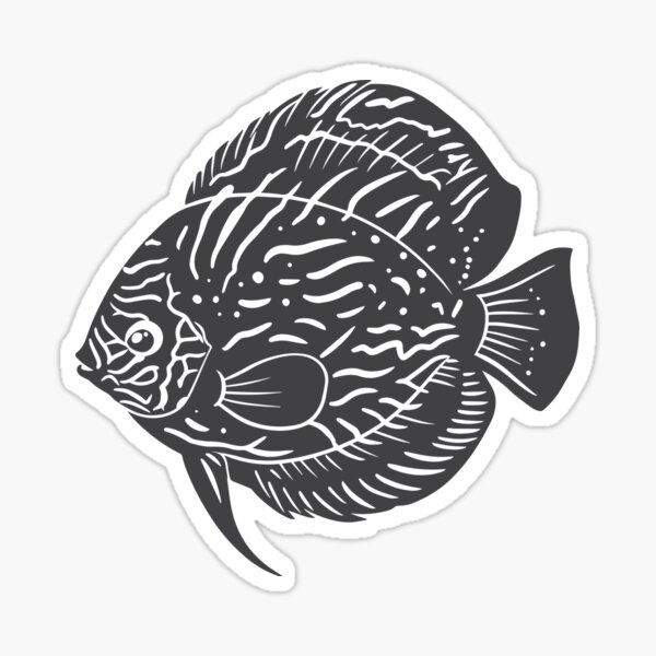 "Discus Fish" Sticker by tianrongzhang | Redbubble