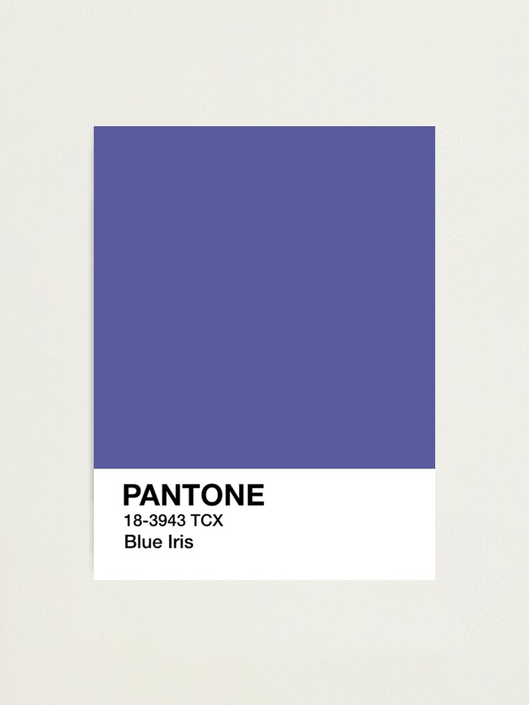 "PANTONE Blue Iris" Photographic Print for Sale by Mushroom-Gorge ...