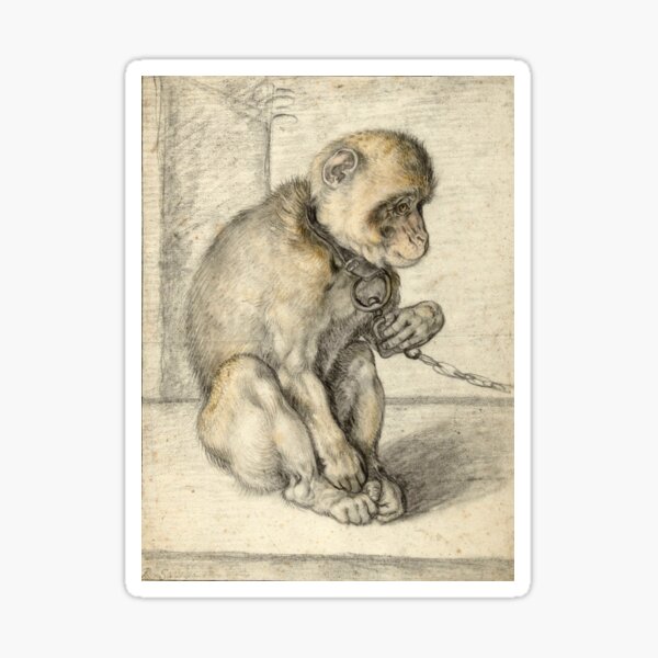 Pegatina «Un mono sentado encadenado de Hendrick Goltzius» de ...