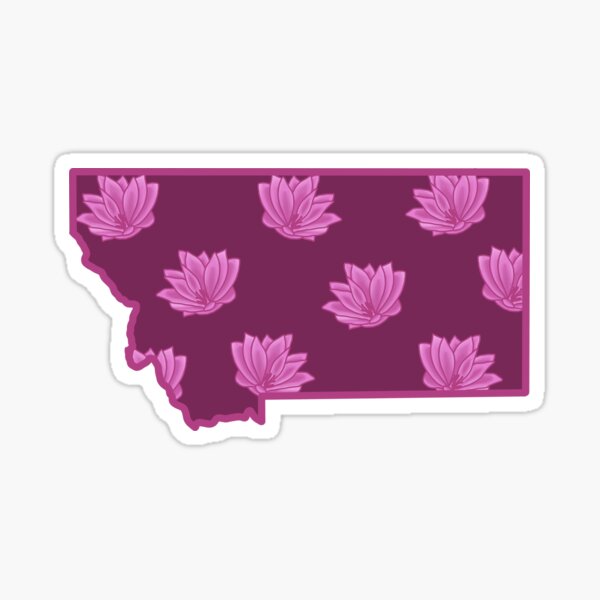 "Montana State Flower - Bitterroot" Sticker for Sale by alolaraichu ...