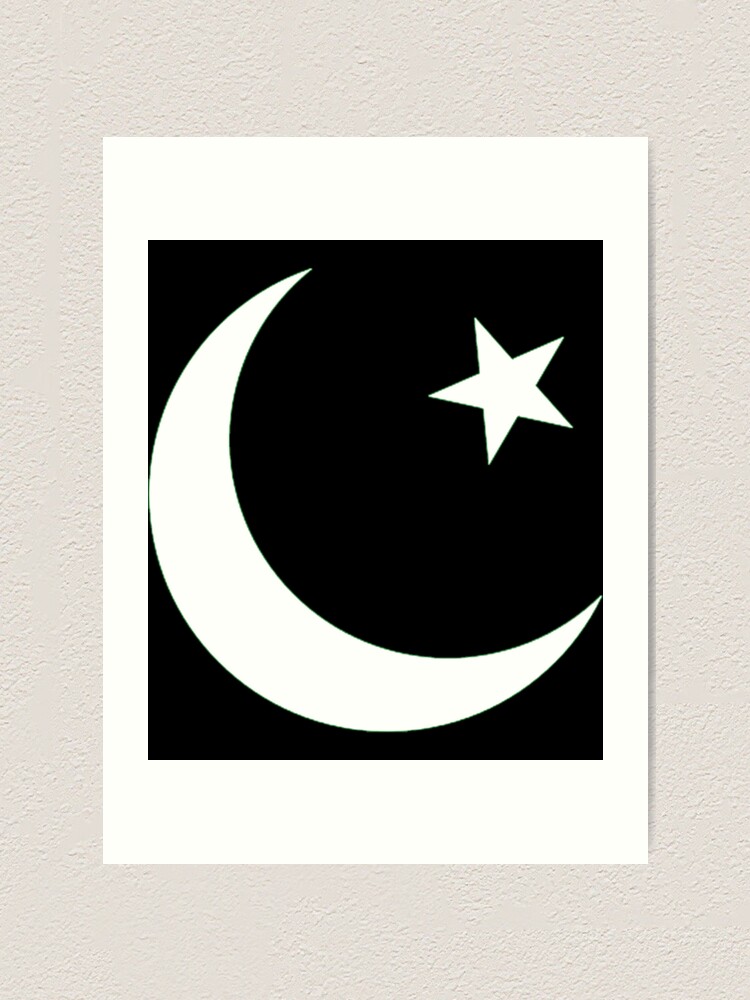 "Pakistani Flag. Flag Of Pakistan Pakistan Pakistani Crescent Moon And ...