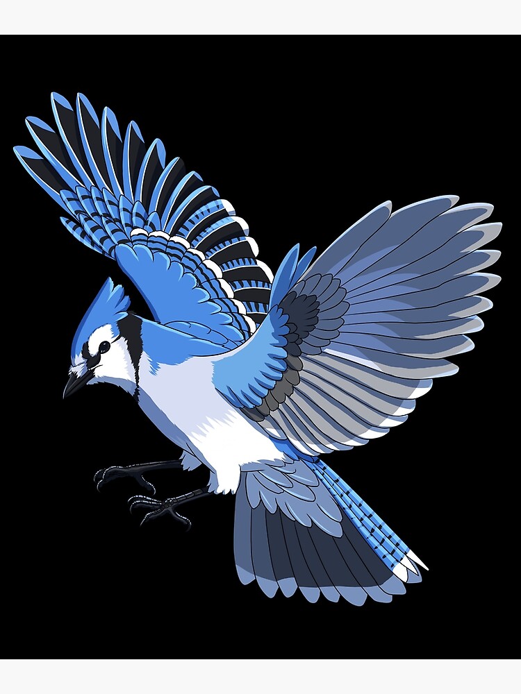 "Flying Bird Blue Jay" Poster for Sale by alwe-designs | Redbubble