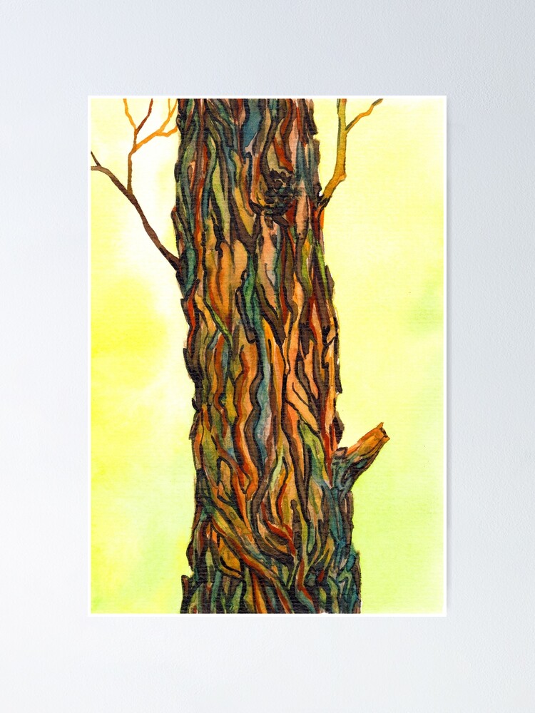 "Colors of a willow tree" Poster for Sale by ToTheWoods | Redbubble