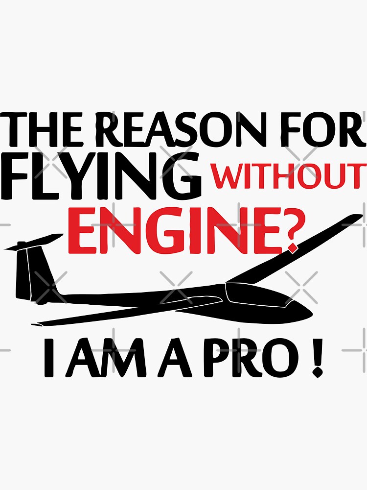 "the reason for flying without engine? I'ma pro!" Sticker for Sale by ...