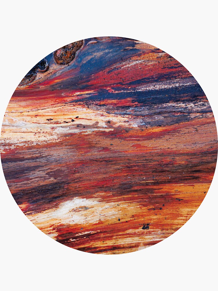 "Firescape | Colorful Wildfire Charred Douglas Fir Log" Sticker by ...