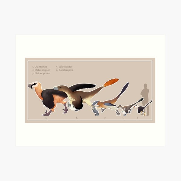 "Raptor Size Chart" Art Print for Sale by kutaa | Redbubble