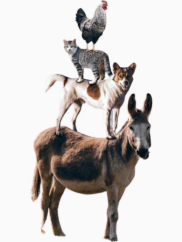 "Stacked Farm Animals - Chicken, Cat, Dog, Donkey" Sticker by ...