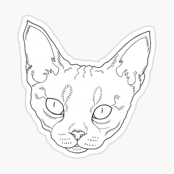"Devon Rex " Sticker by bellabellpepper | Redbubble