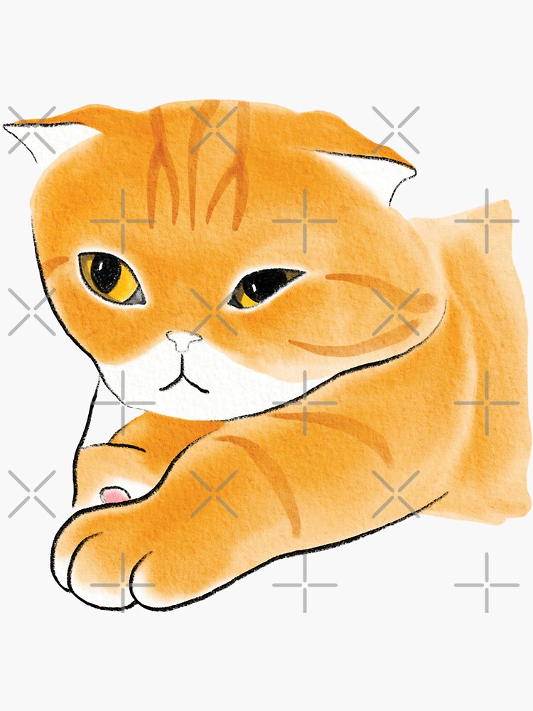 "Squashed Cat Eli" Sticker for Sale by Eli-artworks | Redbubble